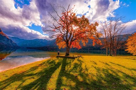 Page 43 Windows 11 Nature Images Free Download On Freepik