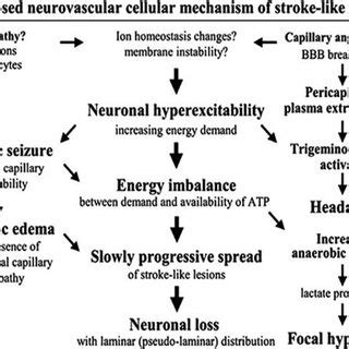 Key Features Of Stroke Like Episodes In Melas Download Table