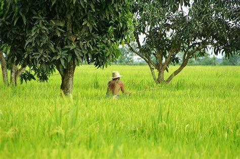 Premium Photo Shirtless Farmer Working On Agricultural Field