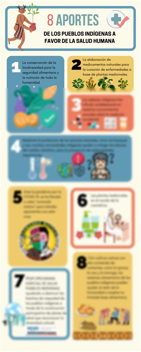 SOLUTION Infograf A Aportes De Los Pueblos Ind Genas Studypool