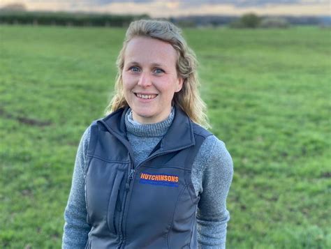 Gout Fly Warning For Spring Cereals In High Pressure Year Farmers