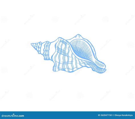 Seashell Sketch Drawing Vector Illustration Stock Vector Illustration Of Graphic Vintage