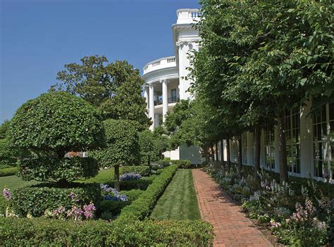 13 Jackie Kennedy White House Rose Garden Ideas To Try This Year
