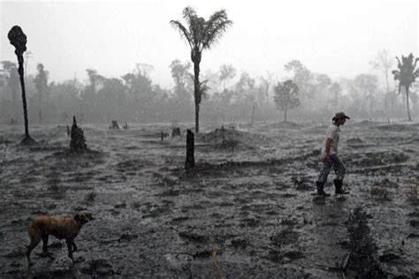 Brasil Bolsonaro Rechaza La Ayuda Del G 7 Y Asegura Que Los Incendios