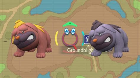 Pokémon Scarlet and Violet Easiest Shiny Hunts for Beginners KeenGamer