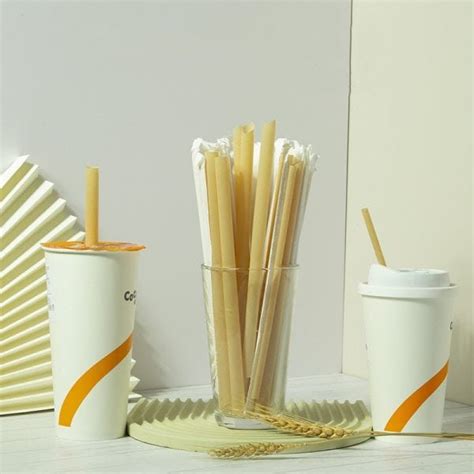 Biodegradable Disposable Bamboo Fiber Straws Sustainable Food