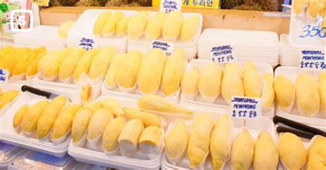 ครองตลาดโลก พาณิชย์รายงานการวิเคราะห์ 5 สินค้าไทยทุเรียนสดไทย มีส่วน
