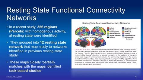 Neuro Circuit Ppt