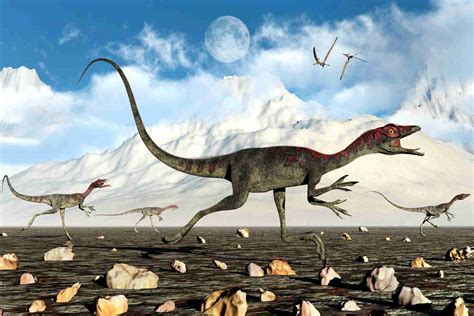 Interesting Facts About Compsognathus