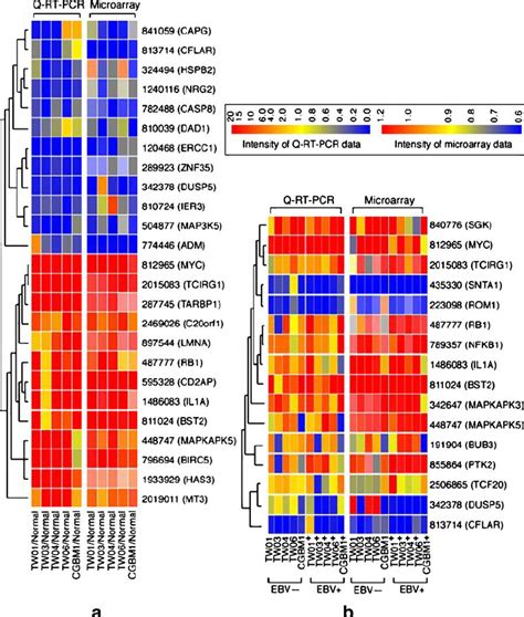 comparison of gene expression data from microarray analysis and