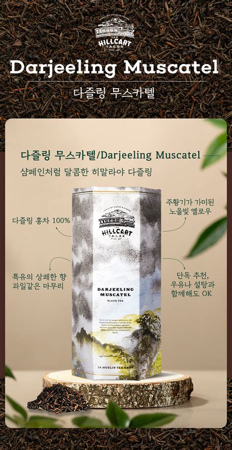 힐카트테일즈 다즐링 무스카텔 홍차 14티백 추천