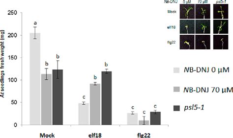 Endoplasmic Reticulum Quality Control Compartment Semantic Scholar