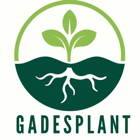 Cuál es la temperatura ideal para las orquídeas GadesPlant