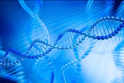 The Games Genes Play Algorithm Helps Explain Sex In Evolution