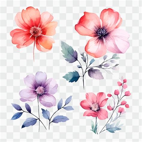 Flores De Acuarela Sobre Un Fondo Transparente Vector Premium