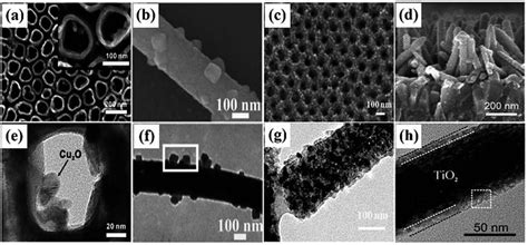 SEM Images Of Cu 2 O TiO 2 NTAs A 172 CuO TiO 2 Nanofibers B 173