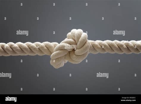 The Knot Hi Res Stock Photography And Images Alamy