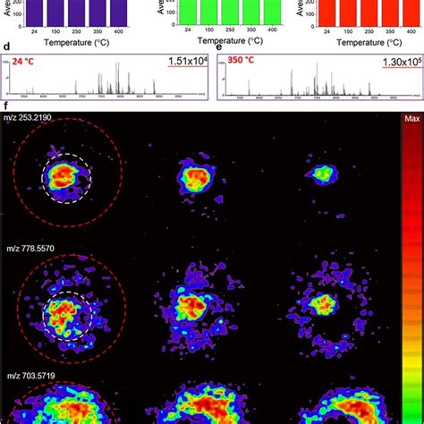 Disc 3d Protocol Spheroids Are Formed In The Presence Of Fluorescently