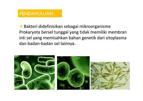 Jamur Dan Bakteri Entomopatogen Ppt Ppt