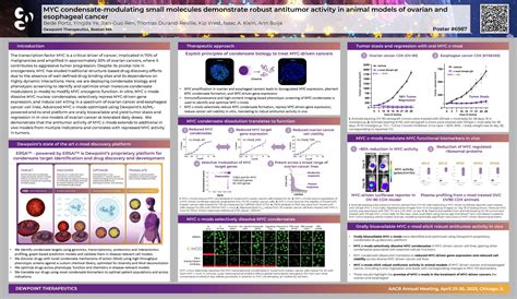 Myc Condensate Modulating Small Molecules Demonstrate Robust Antitumor
