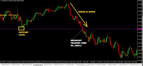 What Type Of Forex Trader Are You