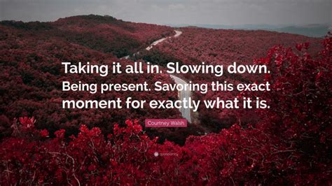 Courtney Walsh Quote “taking It All In Slowing Down Being Present