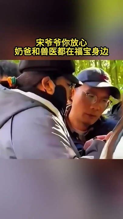 宋爷爷知道福宝的情况，担忧和伤心都写在了脸上。他又伤心又自责又无奈。福宝啊，你知道爱你的人都在为你悬着一颗心吗？福宝日常福宝和爷爷福宝发抖一方水土养一方熊猫 Youtube