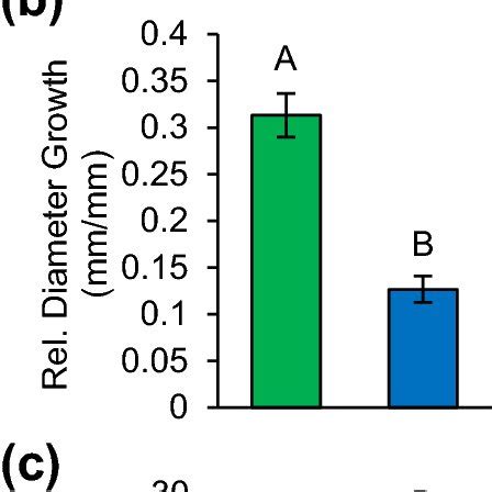Spring Measurements Of Relative Height Growth A Relative Basal Download Scientific Diagram