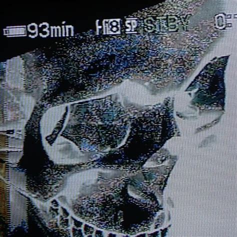 Error Svi Fade Away Lyrics Genius Lyrics