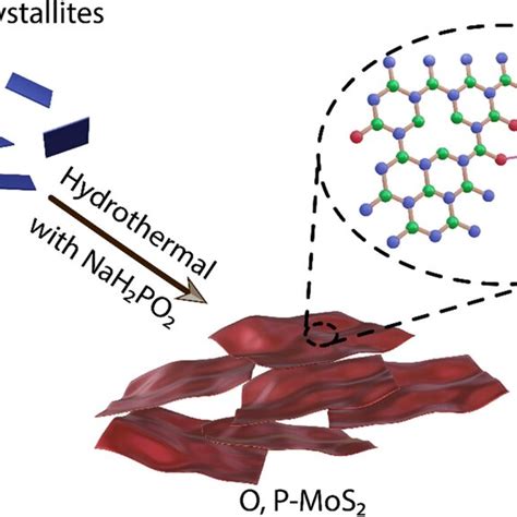 Schematic For The Synthesis Of Mos2 On Cc Download Scientific Diagram