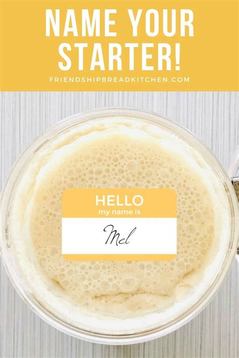 Your Amish Friendship Bread Starter Needs A Name Bread Starter