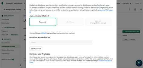 Mongodb Hotglue Docs