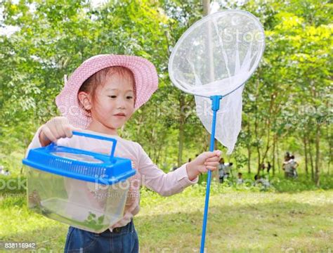 아시아 소녀는 곤충 여름에 그물을 가진 분야에서 재생 하는 밀 짚 모자를 착용 개념에 대한 스톡 사진 및 기타 이미지 개념