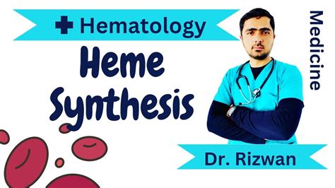 Heme Synthesishematology Series Urdu Hindi Easy Explanation Mbbs