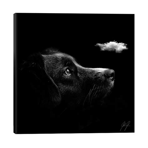 Discovering Ii Kathrin Federer 26w X 26h X 1 5d Composite Photography Touch Of Modern