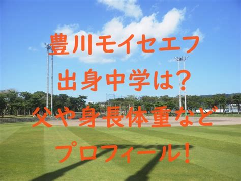 豊川モイセエフ・ニキータ出身中学は？父親や身長体重などのプロフ！ にゃんこの人気商品・旅行案内ブログ