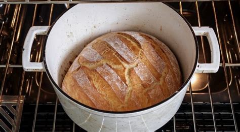 Mouth Watering Dutch Oven Pot Roast Recipe A Culinary Delight For All