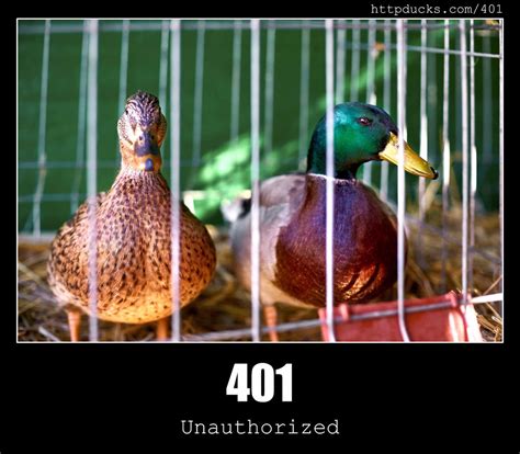 401 Unauthorized Status Code And Ducks
