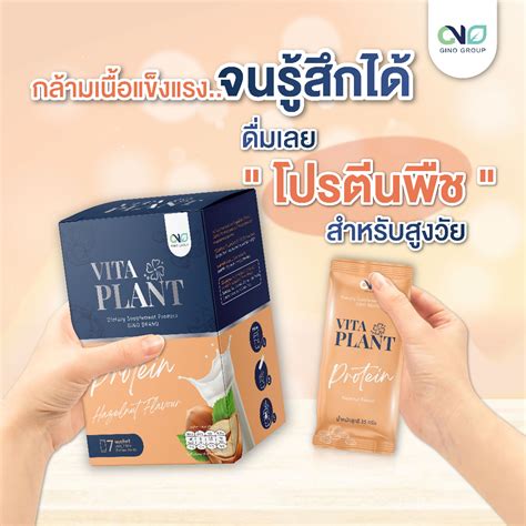 Gino Vita Plant Protein Hazelnut Flavour Jimlimid