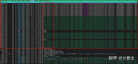 Linux 批量杀死进程的方法 知乎