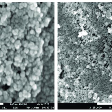 Fesem Micrographs Showing Smooth Surfaces And Spherically Shaped Silver