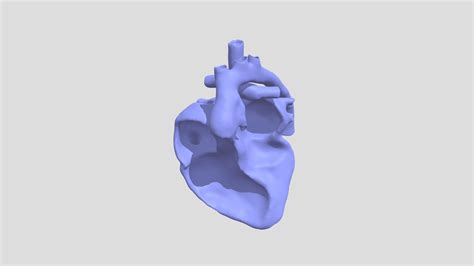 Bidirectional Glenn 3d Model By Tnisi6789 [af9ffeb] Sketchfab