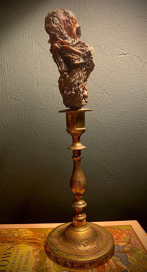 Mummified Fetal Goat Stillborn Mantel Piece Etsy