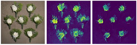 Image Segmentation Part 2 Rg Chromaticity By Ralph Caubalejo Towards Data Science