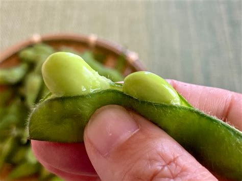 【枝豆は茹でるな】ぎゅぎゅっと濃ゆ～い味になる「枝豆の加熱方法」試してみた！確かに“枝豆感”が強い！ 『あたらしい日日』 こんな時代の