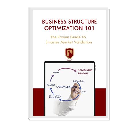 Business Structure Playbook Peakperfly Consulting