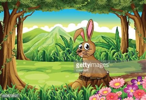 Forest Bunnys Clip Art Library