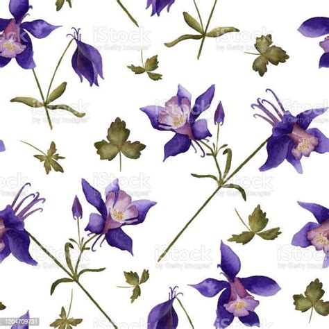 보라색 Aquilegia 꽃의 수채화 원활한 패턴 래스터 일러스트레이션 0명에 대한 스톡 벡터 아트 및 기타 이미지 0명