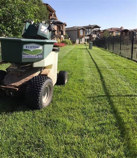 Lawnfertilizationnortherncoloradoecoturf Ecoturf Of Northern Colorado