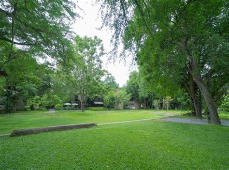 Premium Photo Trees In Park